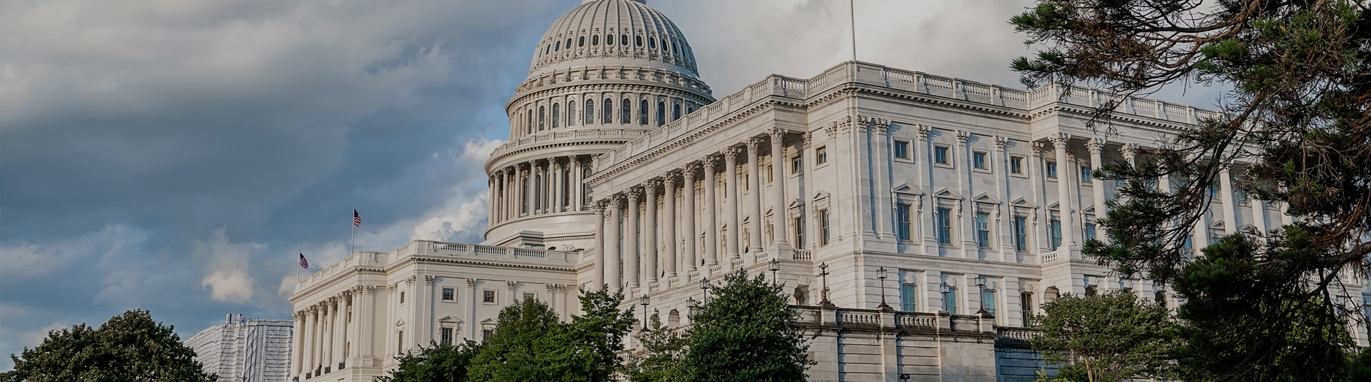 Government - ScriptsHub Technologies Global